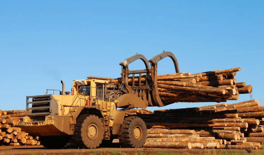 Bob's Timber Cutting Corp. Offers Timber Cruising in Oregon City, OR 97045